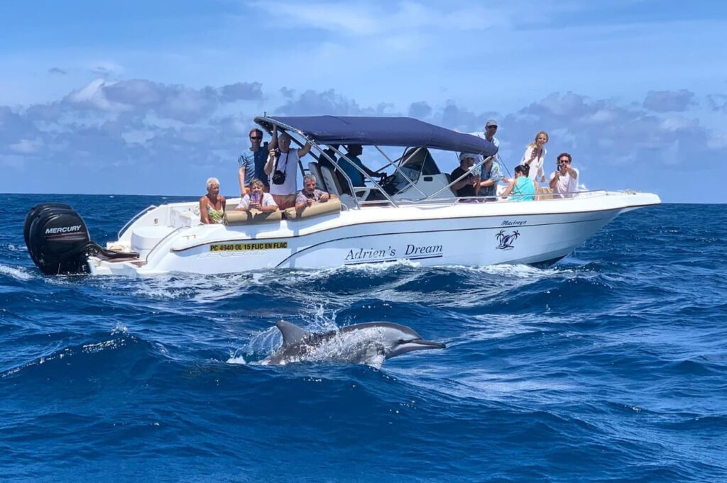 Watch & Swim with Dolphins at Sunrise in Mauritius + Breakfast - Adrien ...